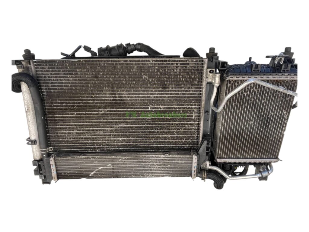 Dacia Logan Radiator Rad Pack 214104225R Genuine 2019